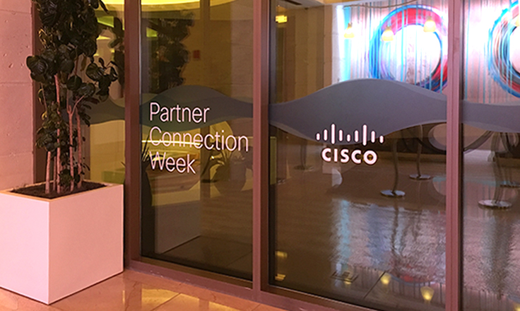 Adhesive Vinyl - Riot