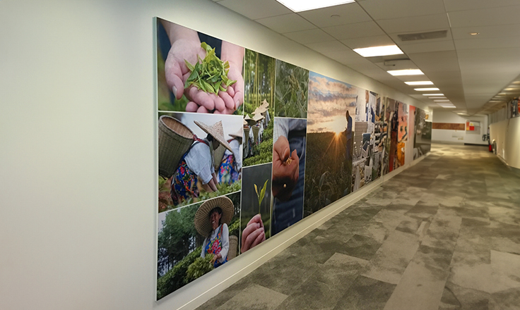 Large Format Printing and Graphics Solutions | Riot Color