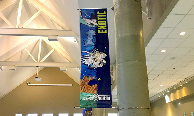 Large Format Printing and Graphics Solutions | Riot Color