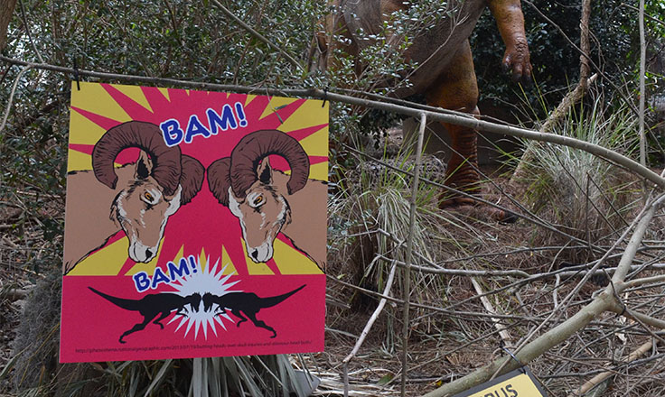 Custom Rigid Signs | High-Quality Signage Solutions | Riot Color