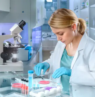 Riot Color | Industry Leader in Signage, Banners, and Wall Murals